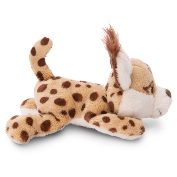 Cats | plushpaws.co.uk