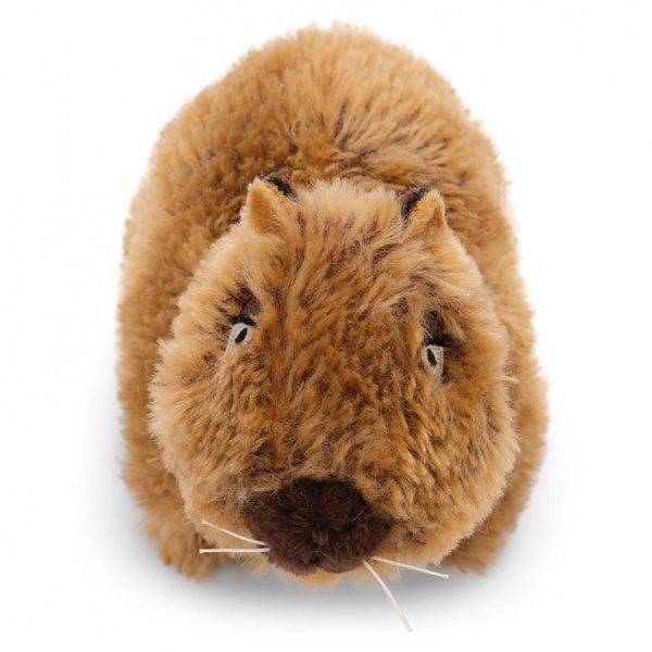 KENJI Yabu Brown Capybara | plushpaws.co.uk