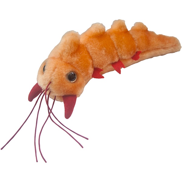 Giant Microbes | plushpaws.co.uk