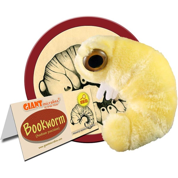 Giant Microbes Bookworm (Anobium Punctatum) | plushpaws.co.uk