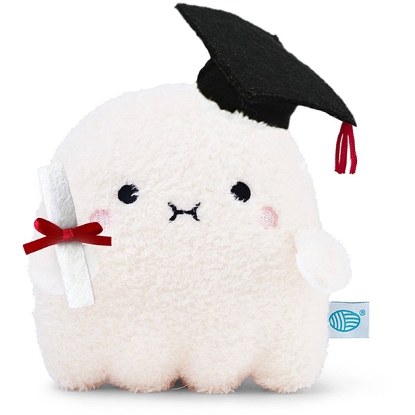 Graduation pusheen plush store