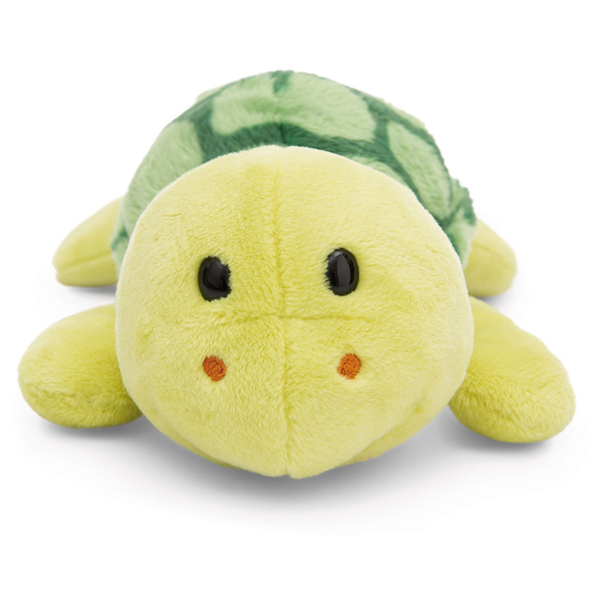 NICI Zoo Friends Turtle | Plushpaws