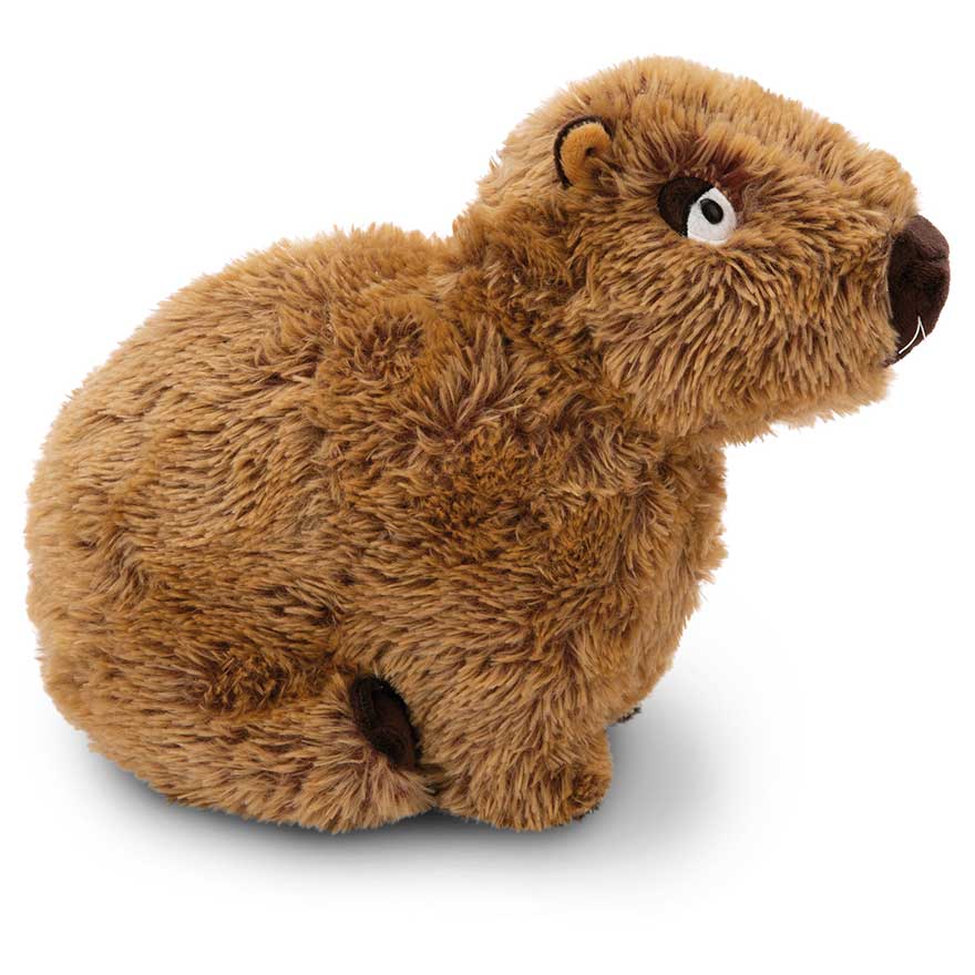 NICI Capybara | plushpaws.co.uk