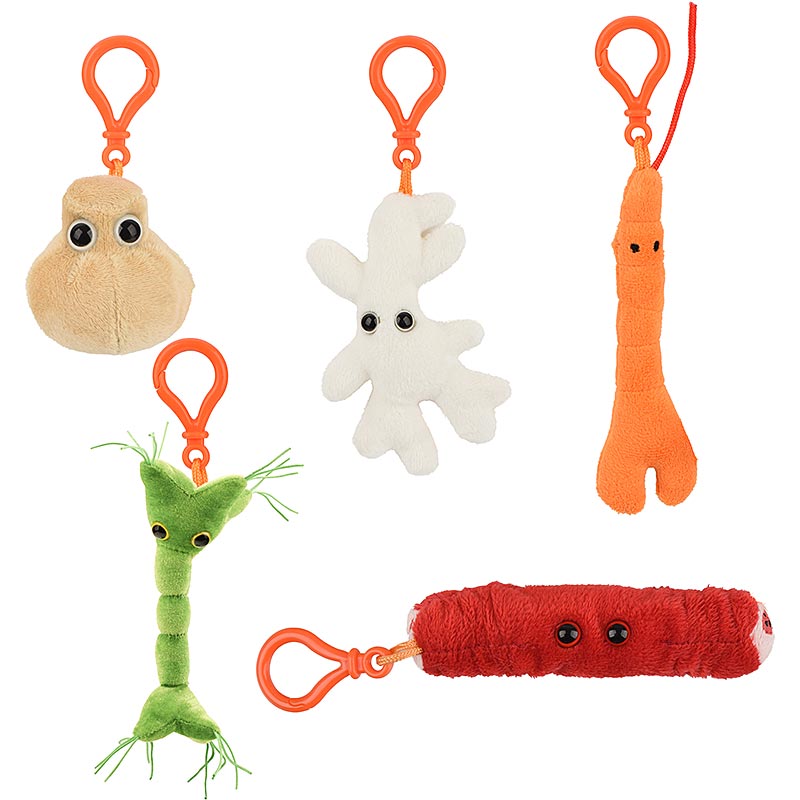 Giant Microbes Body Cells Gift Box | plushpaws.co.uk