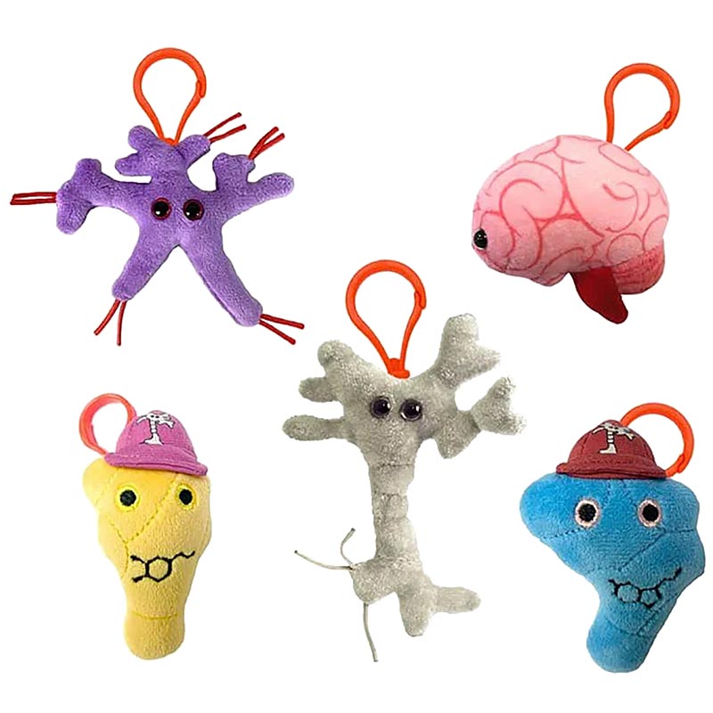 Giant Microbes Brain Science Gift Box | plushpaws.co.uk