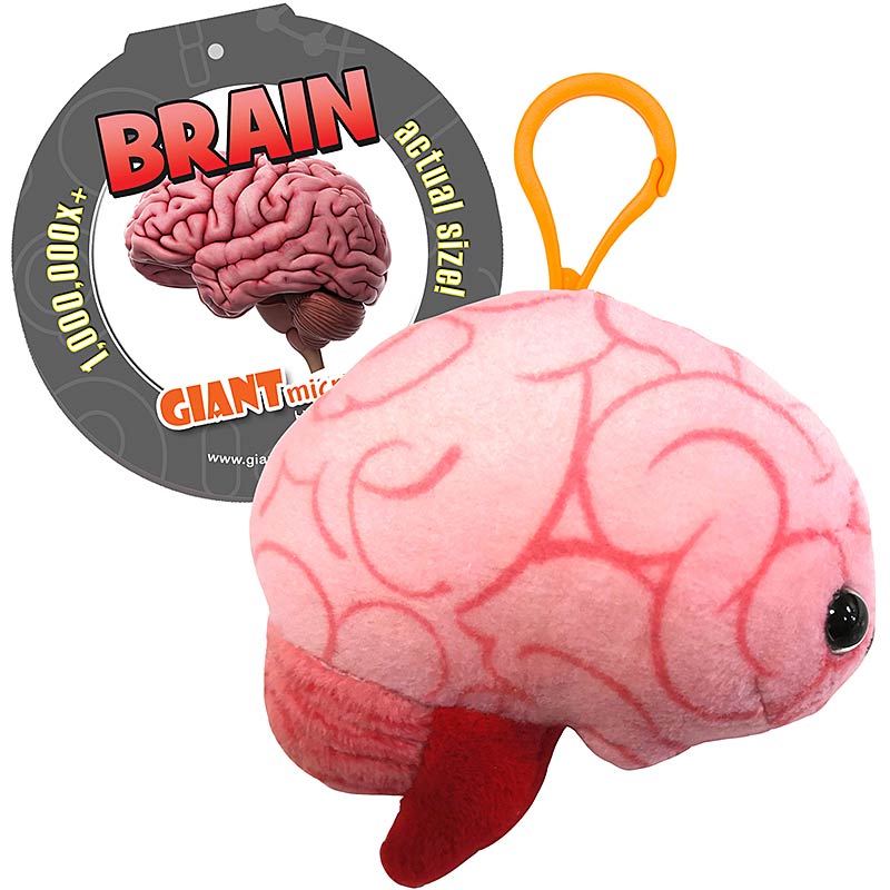 Giant Microbes Brain Keyring | plushpaws.co.uk