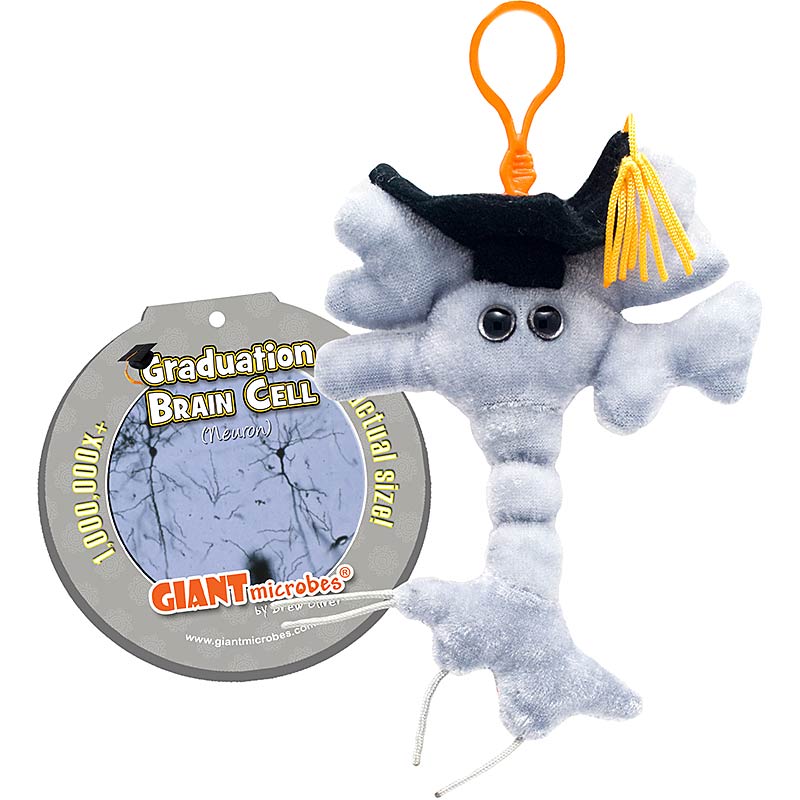 Giant Microbes Graduation Brain Cell (Neuron) Keyring | plushpaws.co.uk