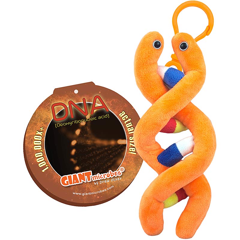 Giant Microbes DNA (Deoxyribonucleic Acid) Keyring | Plushpaws