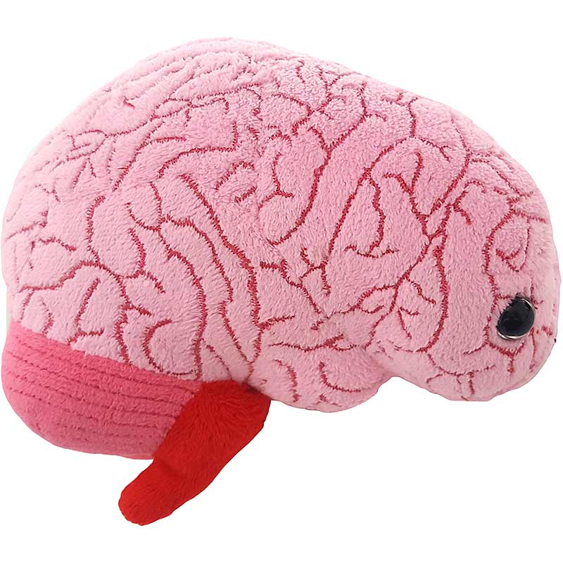 Giant Microbes Brain | plushpaws.co.uk