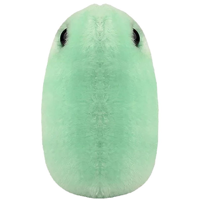 Giant Microbes Flu (Orthomyxovirus) | plushpaws.co.uk