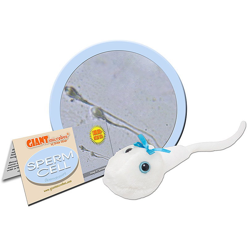 Giant Microbes Sperm Cell (Spermatozoon) | plushpaws.co.uk