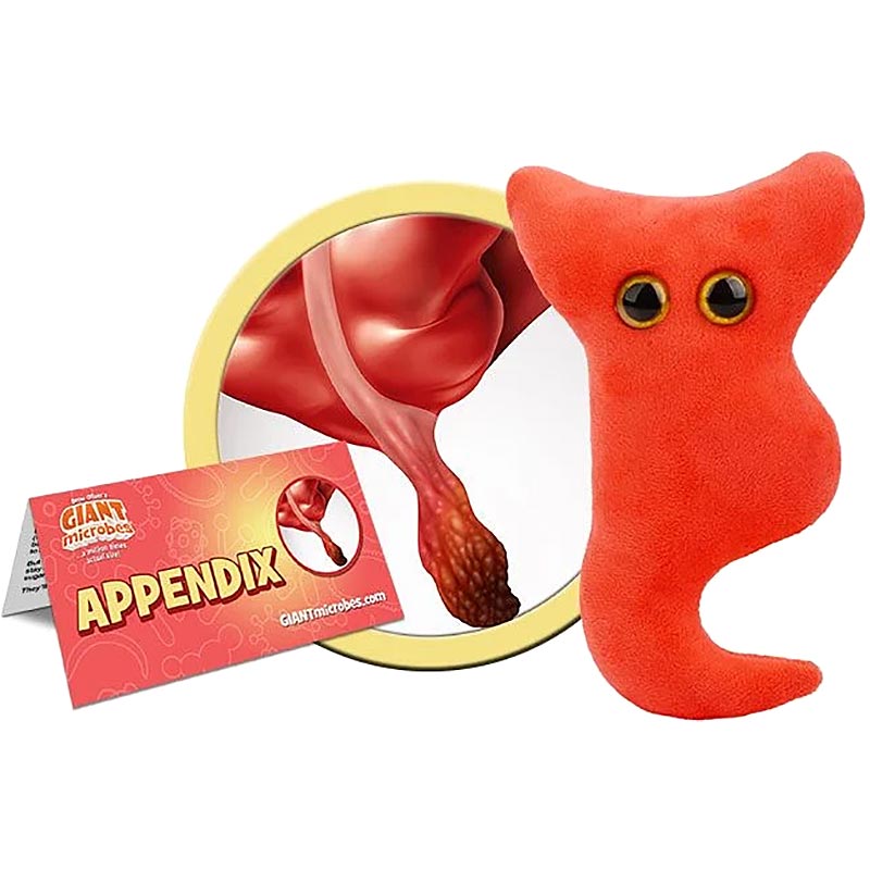 Giant Microbes Appendix | plushpaws.co.uk